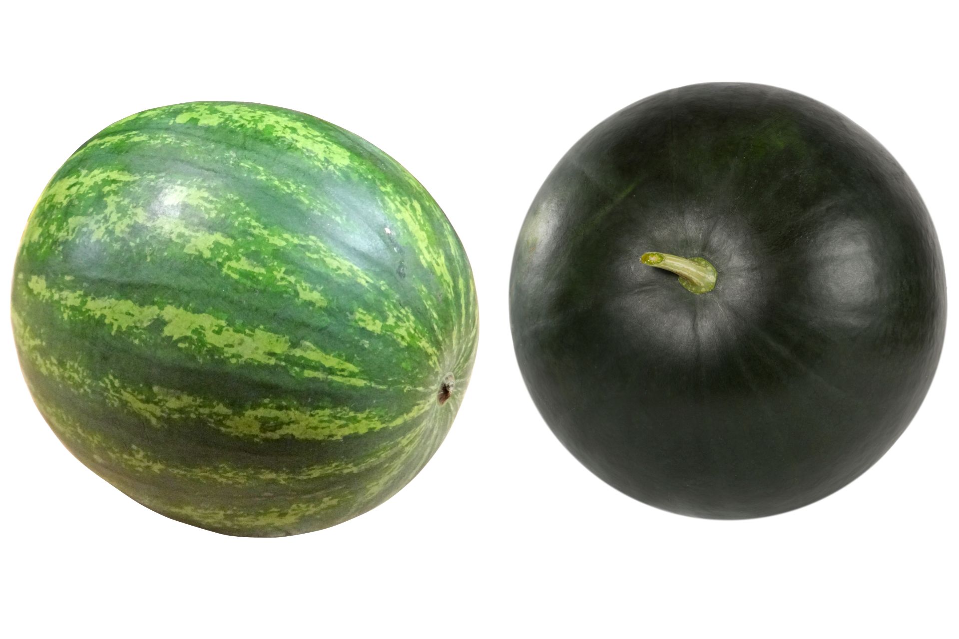 Sandia rayada y negra - Arin Fruit - Benicarló