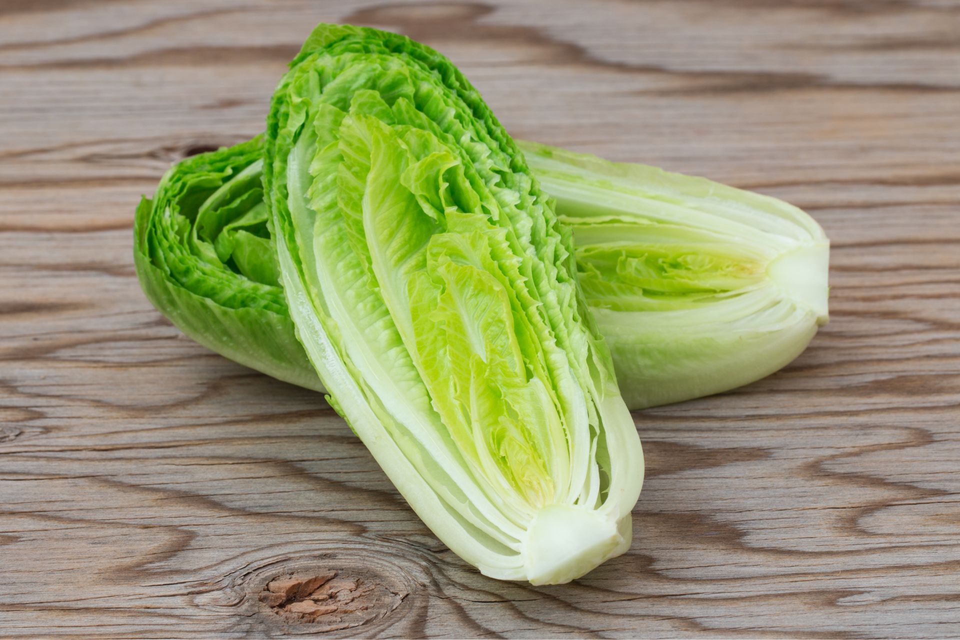 Lechuga Romana - Arin Fruit - Benicarló