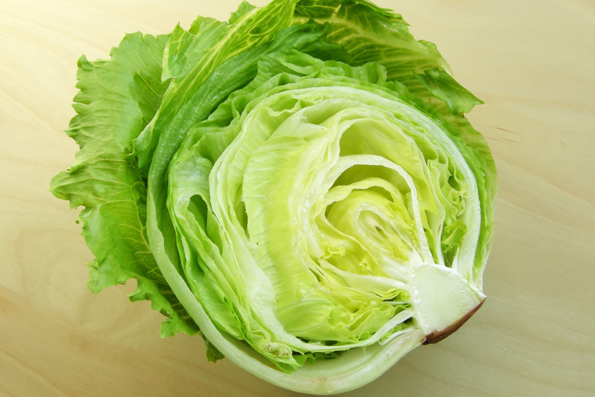 Lechuga Iceberg - Arin Fruit - Benicarló